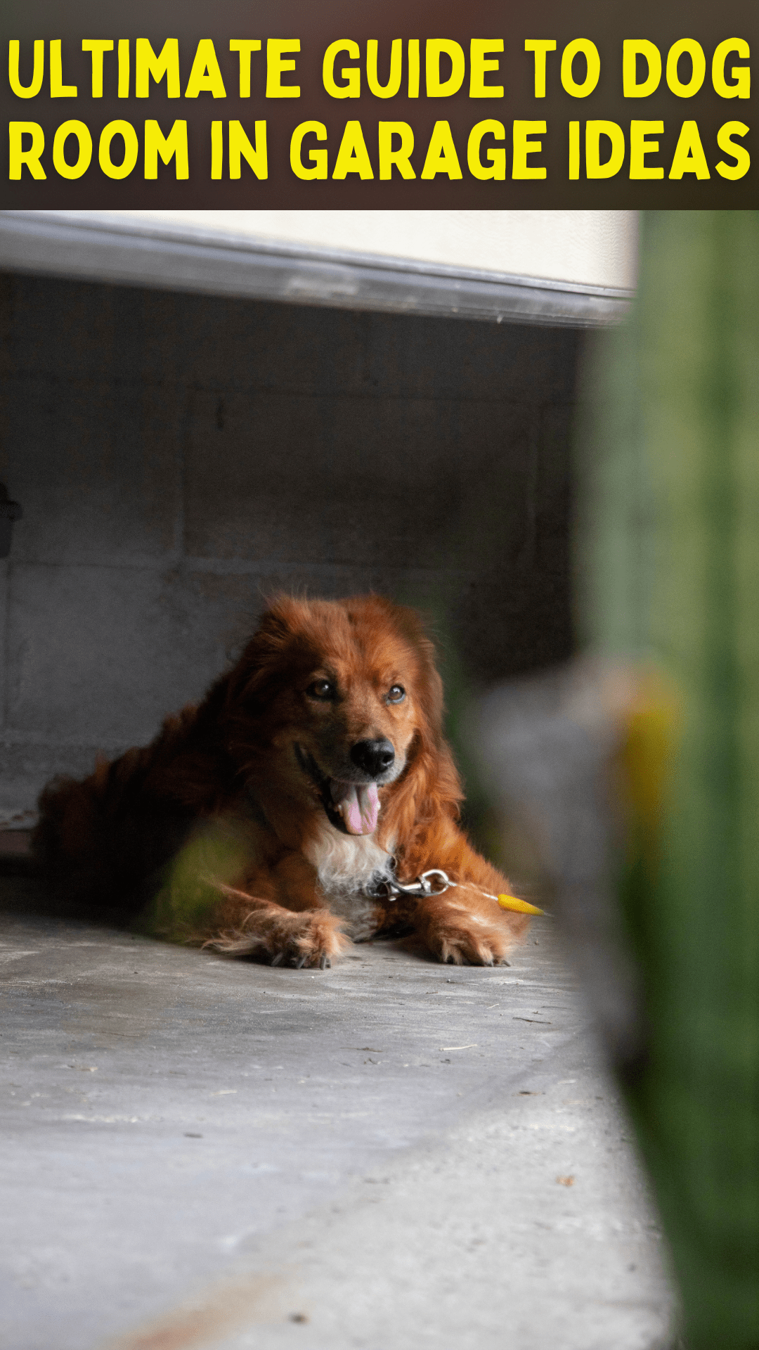Ultimate Guide to Dog Room in Garage Ideas: Create a Pooch Paradise 🐾 ...